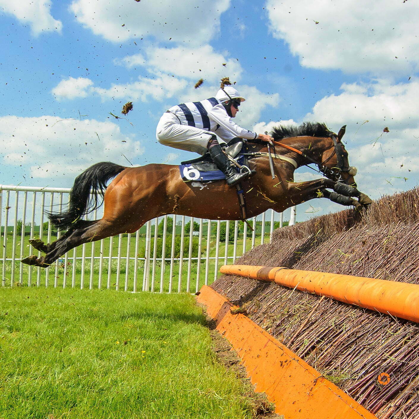 Point-to-point horse racing season at Garthorpe - Rutland Life